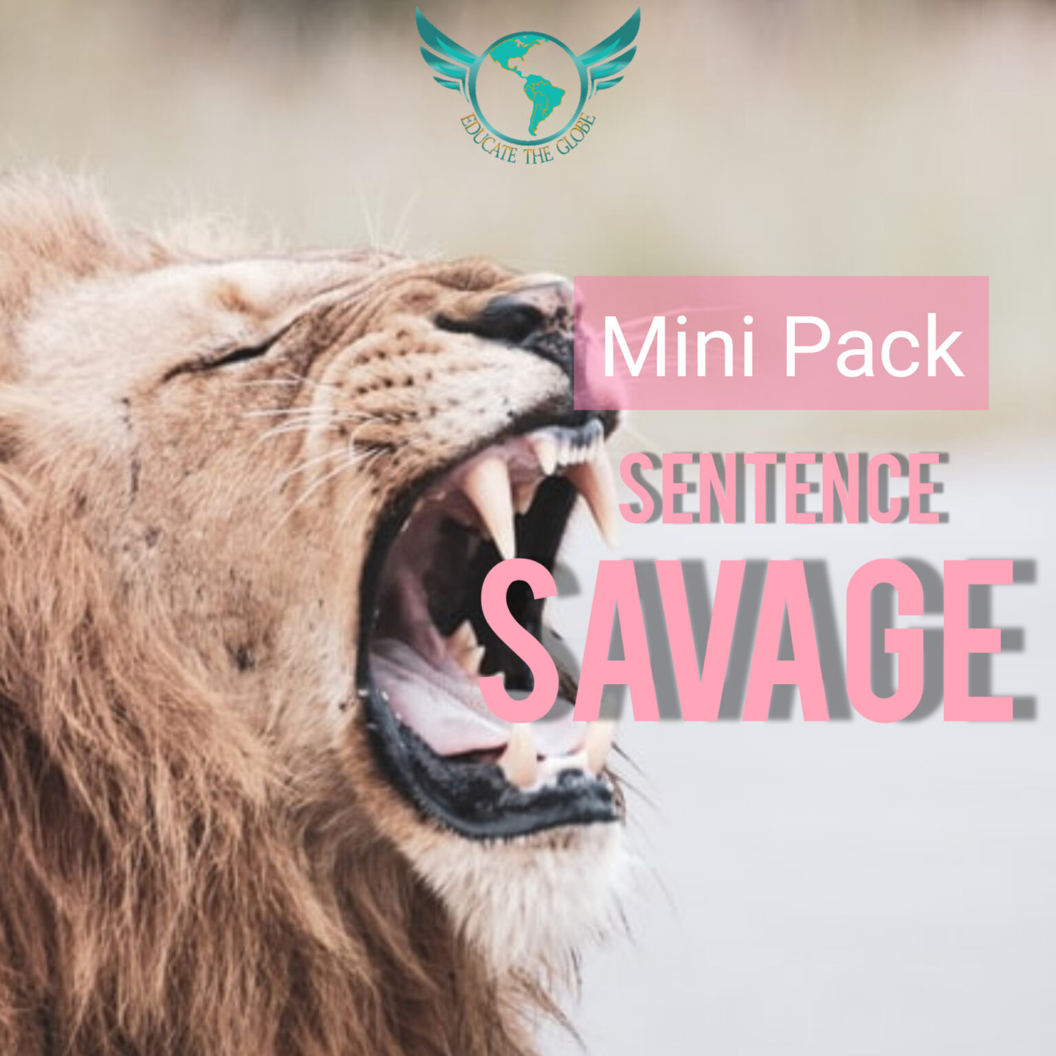 ETG Ready Sentence Savage Mini Pack – Educate The Globe Academy